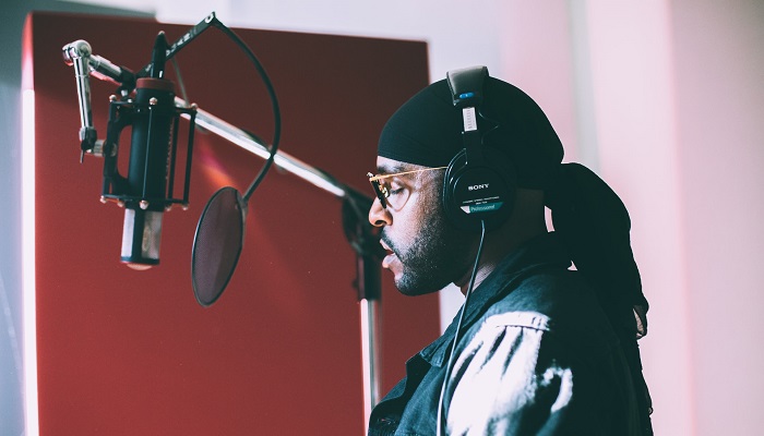 What is a Music Genre? Definition, Explanation & Examples