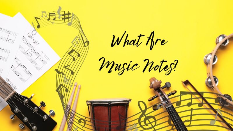 What Are Music Notes Exactly? Definition, Examples & Types