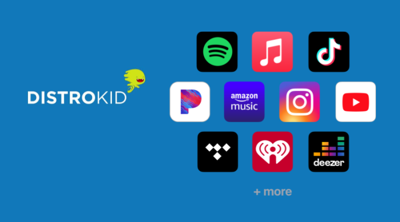 What Platforms Does Distrokid Distribute To?