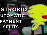 How Much Does Distrokid Pay per Stream? (Less Than You Think)