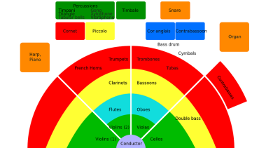 What Is an Orchestra? Instruments, Types, History and More