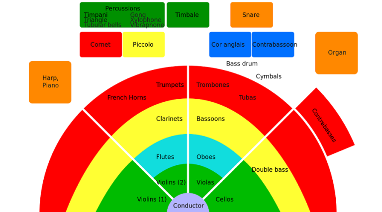 What Is an Orchestra? Instruments, Types, History and More