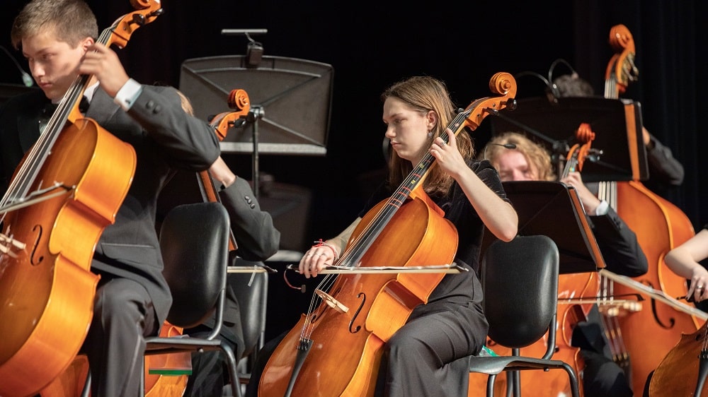 What Is an Orchestra? Instruments, Types, History and More