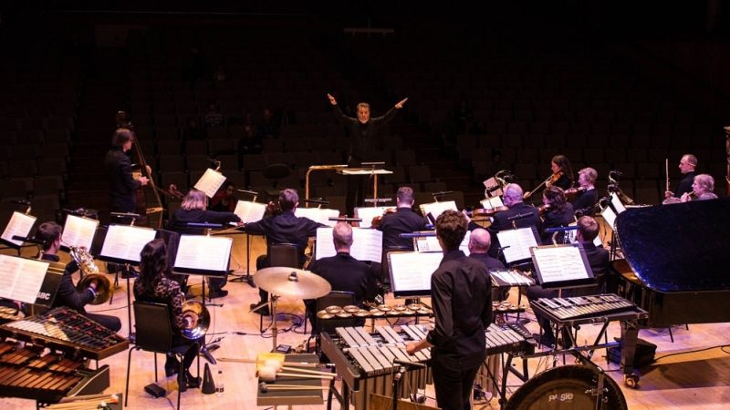 What Is an Orchestra? Instruments, Types, History and More