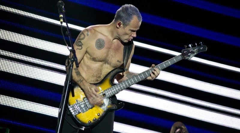 The 17 Best Bass Players of All Time (Picked by a Bassist)